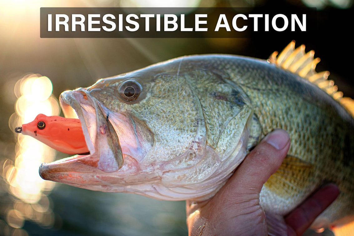 Fishing Gifts for men | Bass Fisherman Gift | Man Fishing Gift | Fishi ...